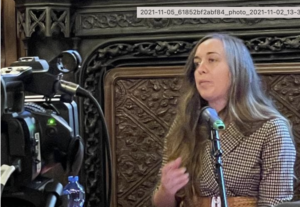 Dai Pfas a nuovo modello sviluppo, Europa Verde: a Vicenza Eleonora Evi