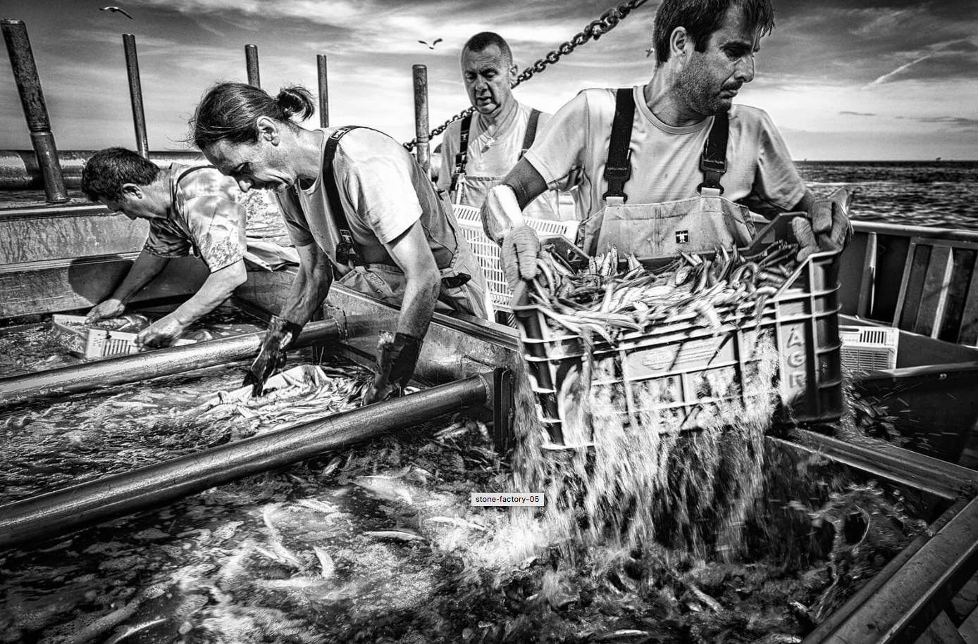 Pesca Veneto: dalla Regione le novità a partire da gennaio 2023